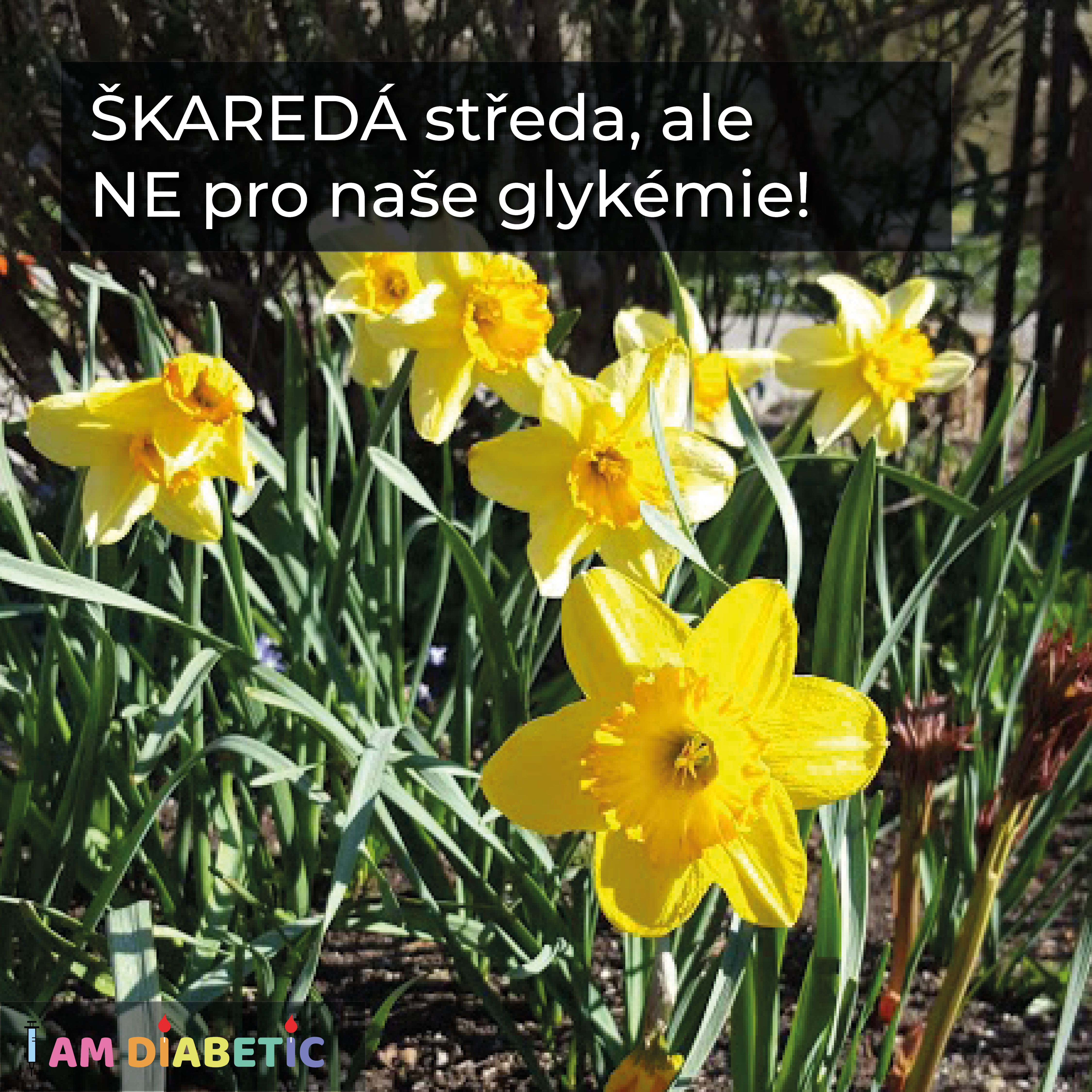 Škaredá středa